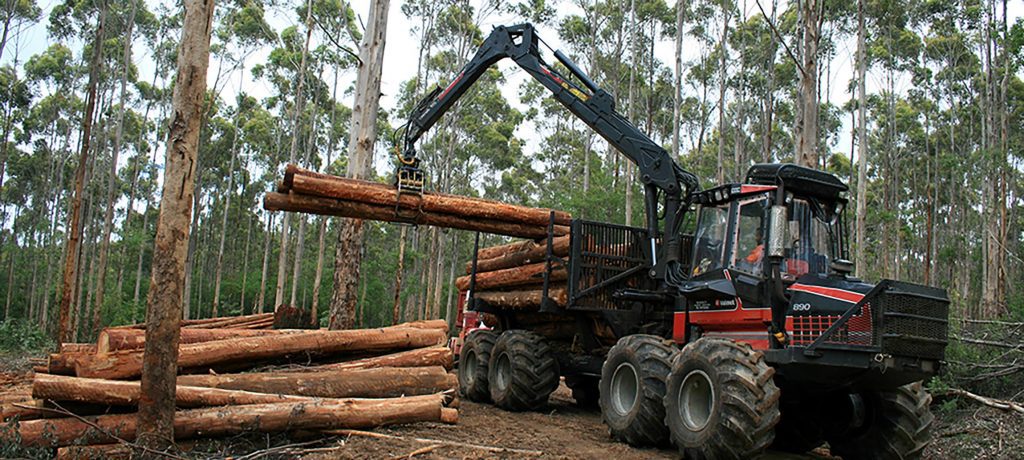 What is Fire Suppression in Forests in Brisbane, QLD?